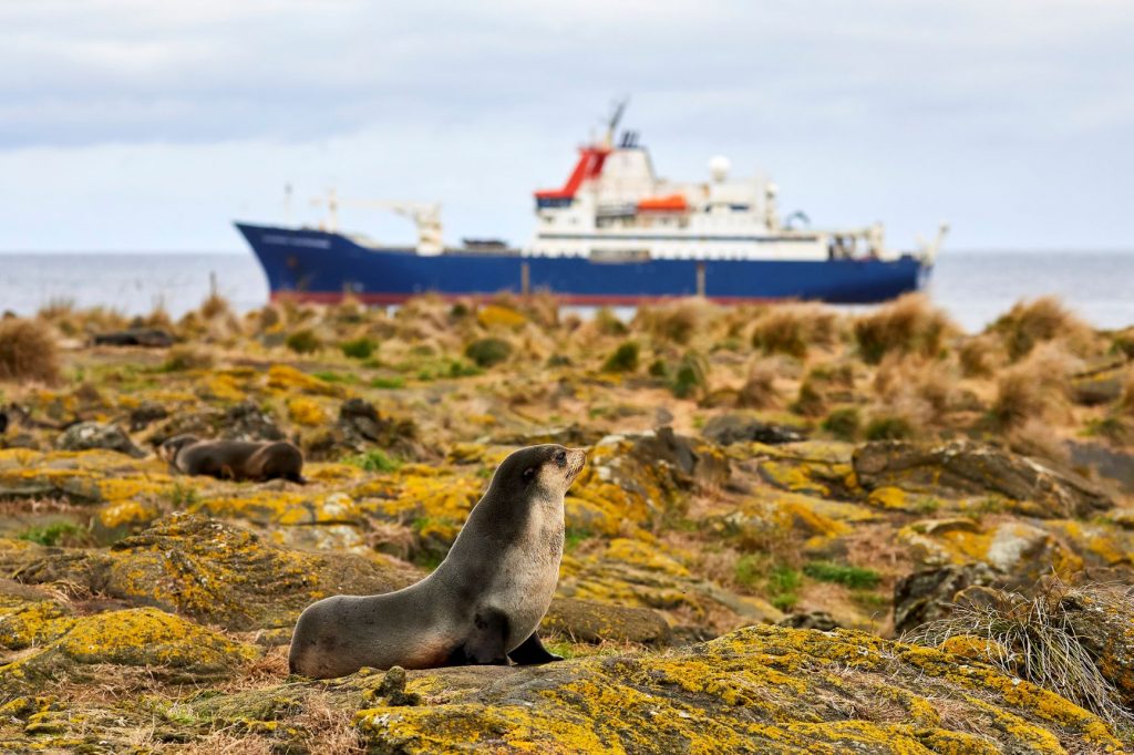 Marion Dufresne - LD Armateurs